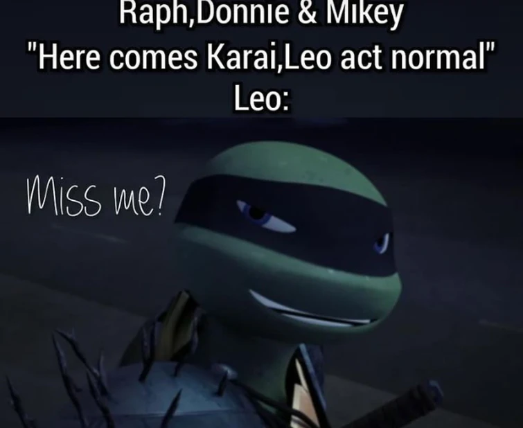 TMNT Meme Of The Day | Fandom