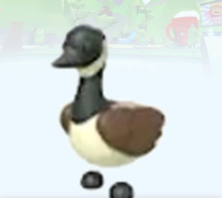 Hold up! I love how the upcoming Canada Goose looks!! | Fandom