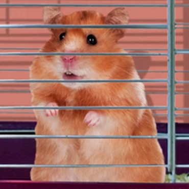 November pfp? | Fandom