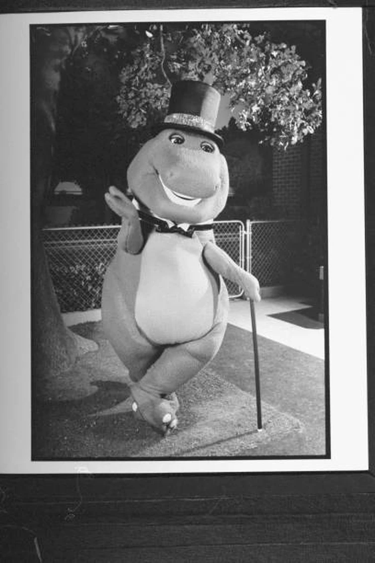 Discuss Everything About Barney Wiki | Fandom