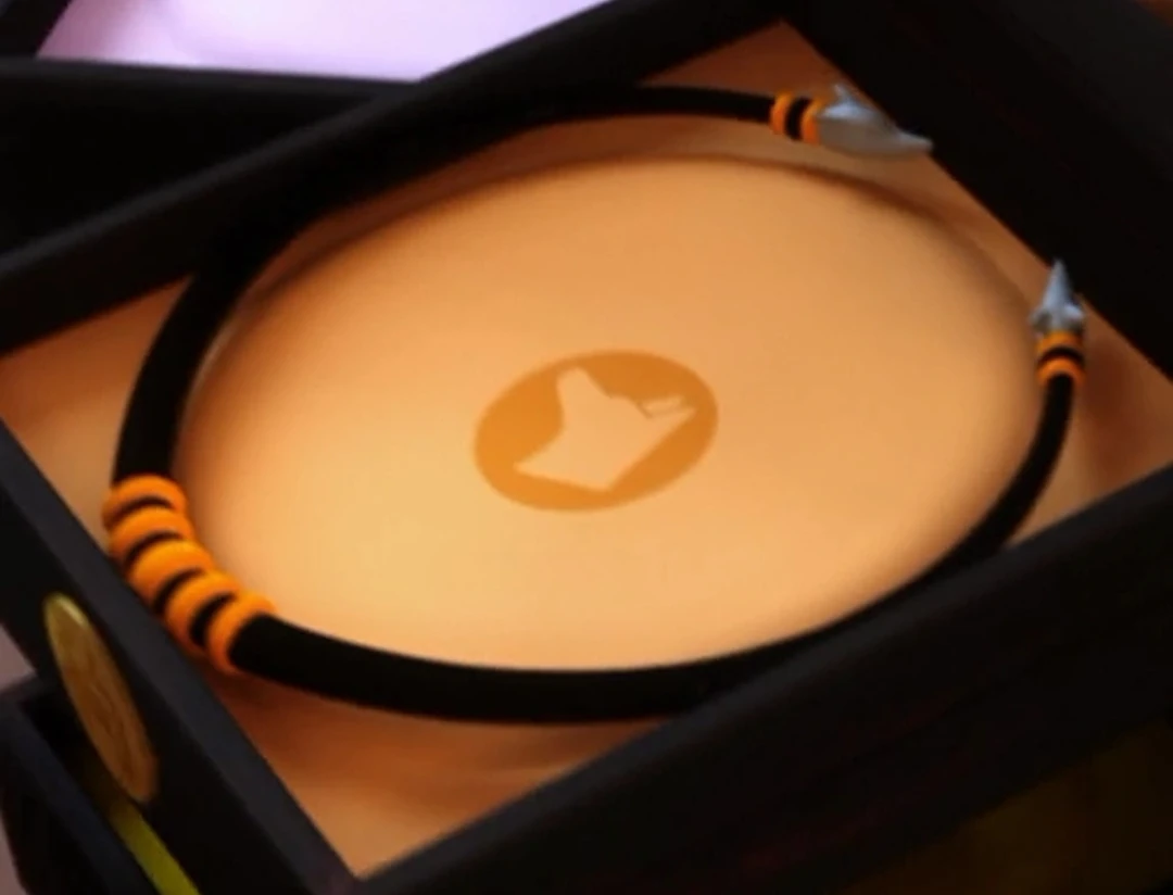 Where does the dog miraculous will come to | Fandom