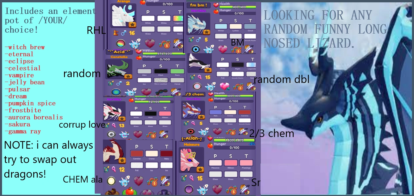 funky lizard | Fandom