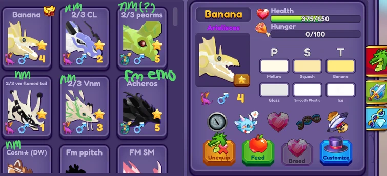 Discuss Everything About Dragon Adventures Wiki | Fandom