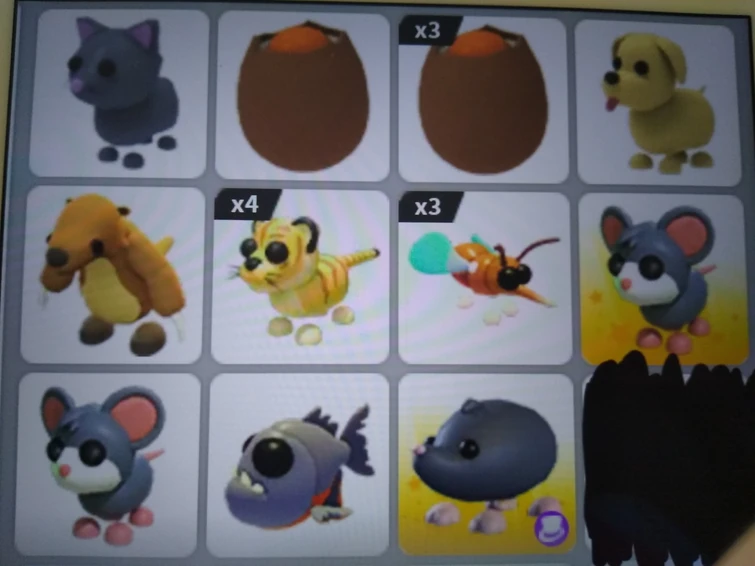 Trading inventory | Fandom