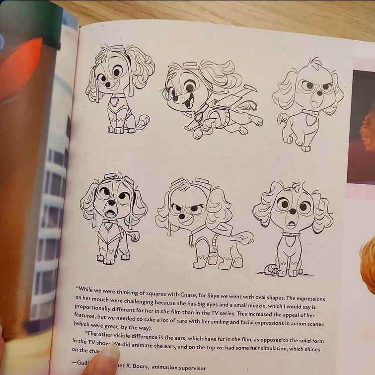 PAW Patrol: The Movie Unreleased Art Book? | Fandom