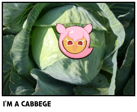 I'M A CABBEGE, 널 부셔 깨 줄게, OOOHHHHHH. | Fandom
