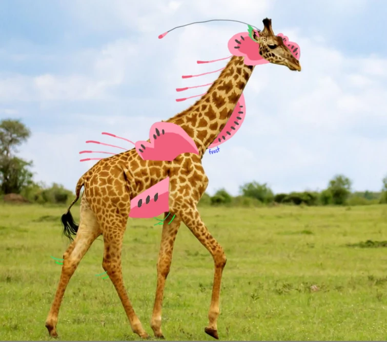 Am done with Citrulantus giraffe :D | Fandom