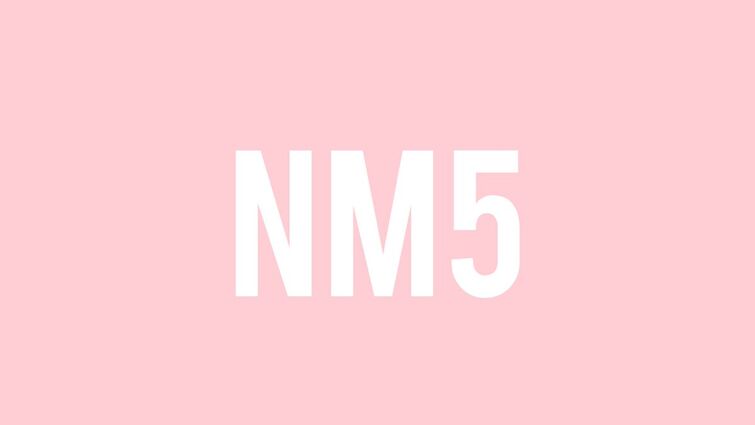 NM5 Feature Predictions !? | Fandom
