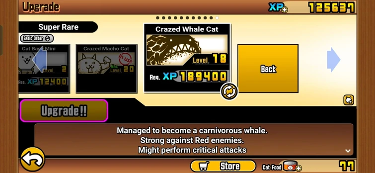 progression on the the battle cats | Fandom