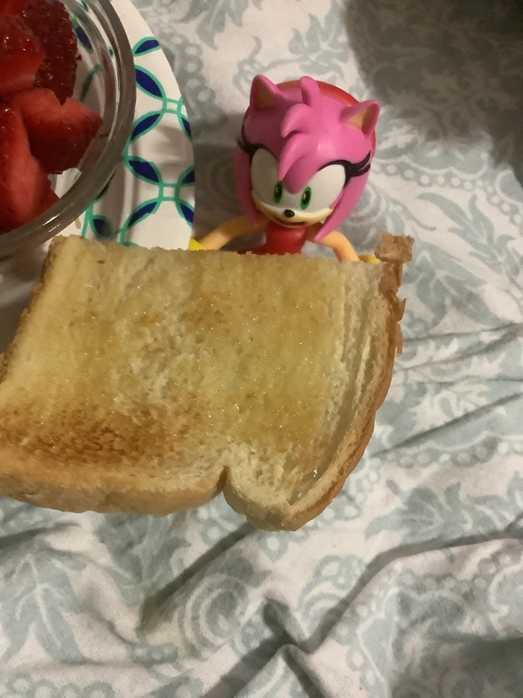 Amy rose with my toast | Fandom