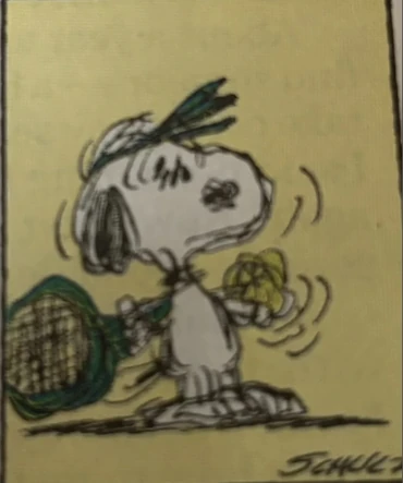 Round 5 of the pfp tournament (breaking wins) | Fandom