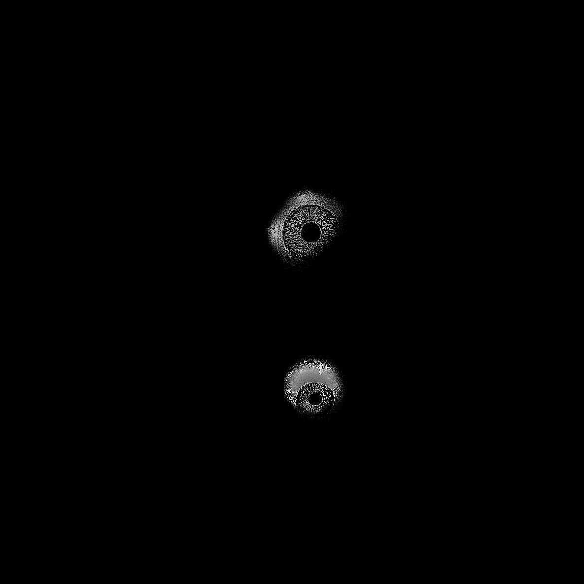 The eyes of your own paranoia stare back. | Fandom