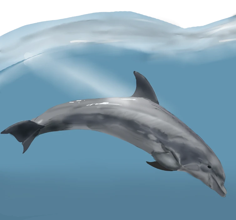 no-fin is better than coming over and seeing this art (upvotes ...