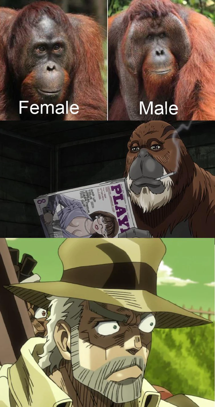 Wait... [Meme] | Fandom