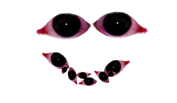 Baby Bully Billy | Fandom