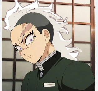 Genya And Sanemi Color pallet Swapped | Fandom