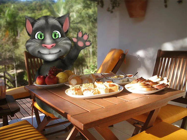 Talking Tom Facebook Media | Fandom