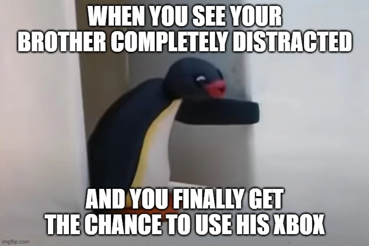 Pingu memes till Xmas 5 | Fandom
