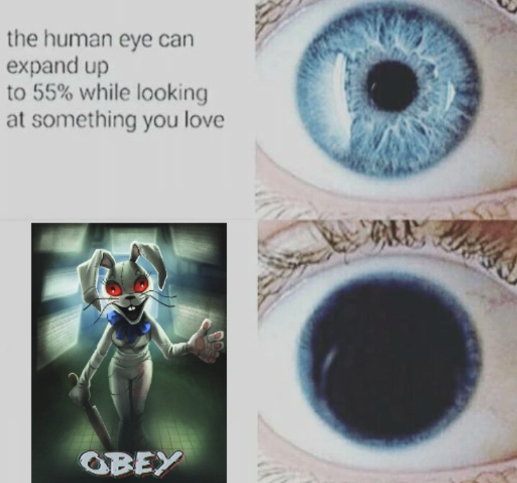 I know this meme is dead as far as I can see, but I had to | Fandom