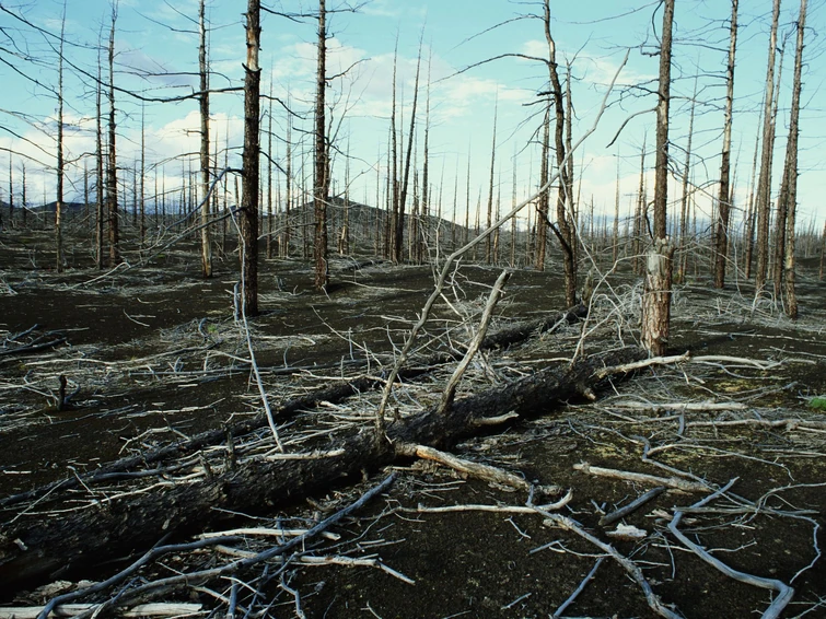 Postman Postosuchus: Quest for the Drippicus | Fandom