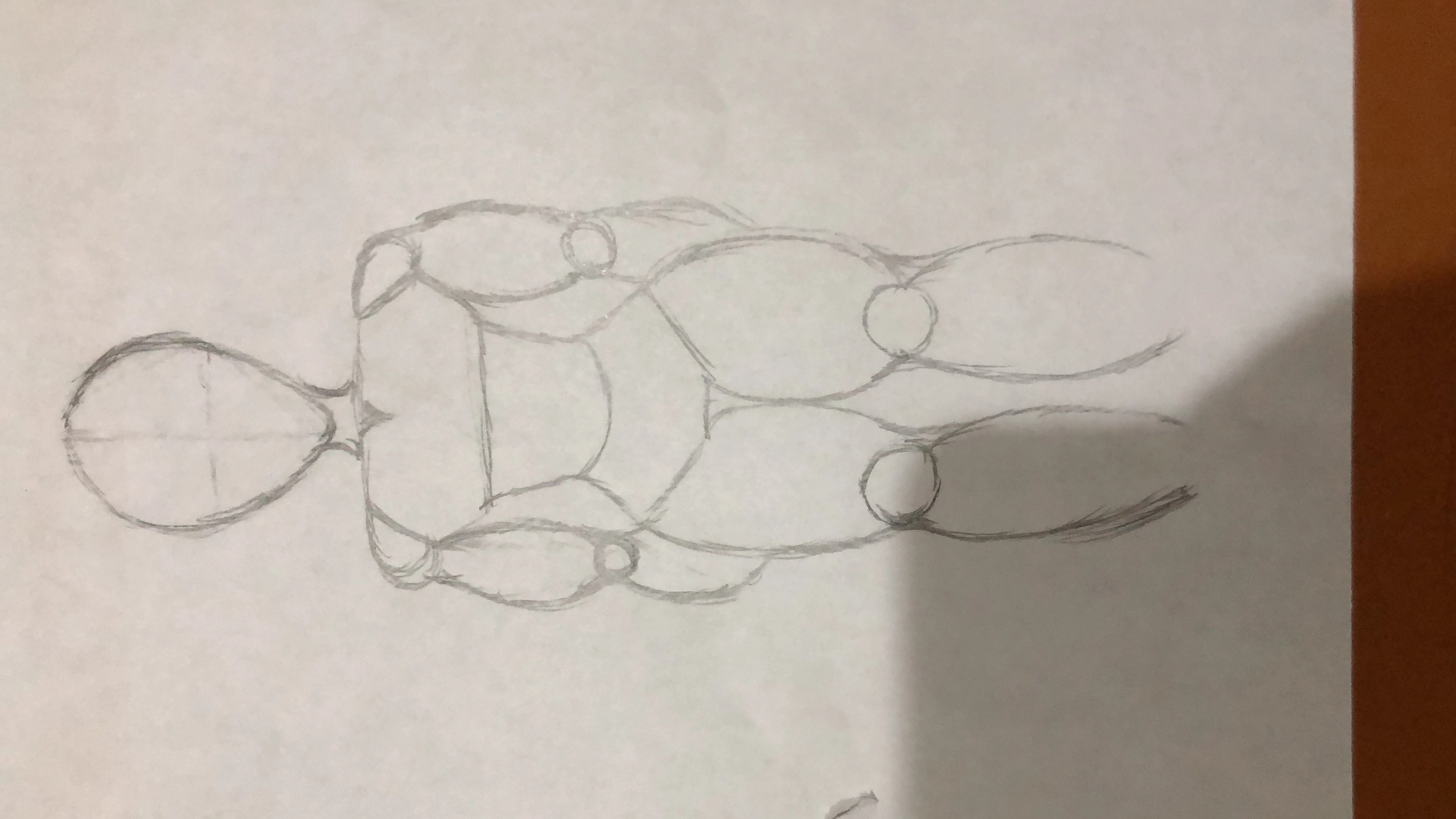 my first time drawing a woman | Fandom