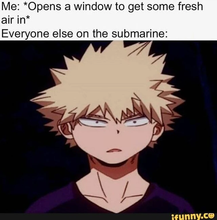 Random mha things | Fandom