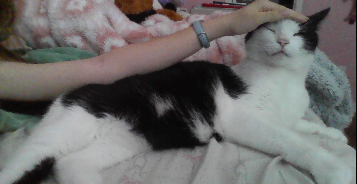 GUYS THIS IS IMPORTANT | Fandom