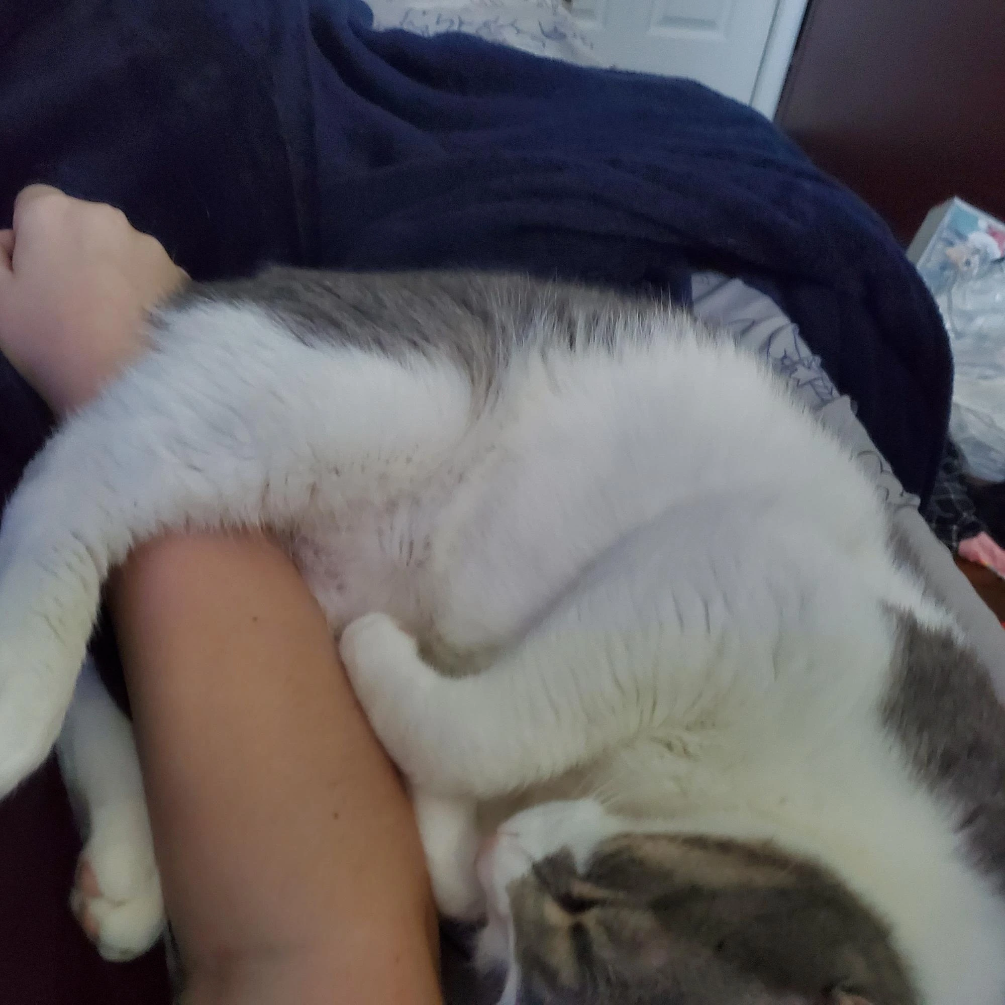 i cannot move | Fandom