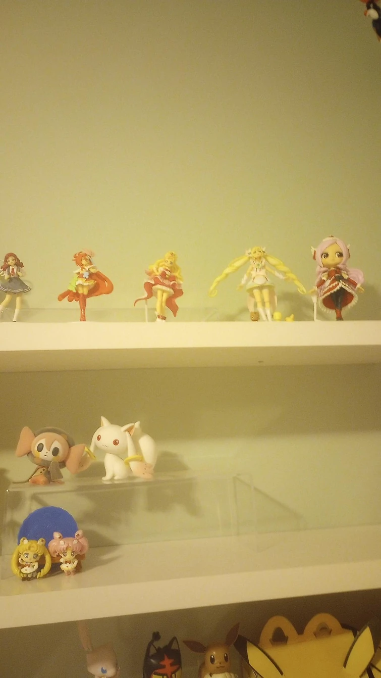 Preparing for a new shelf | Fandom