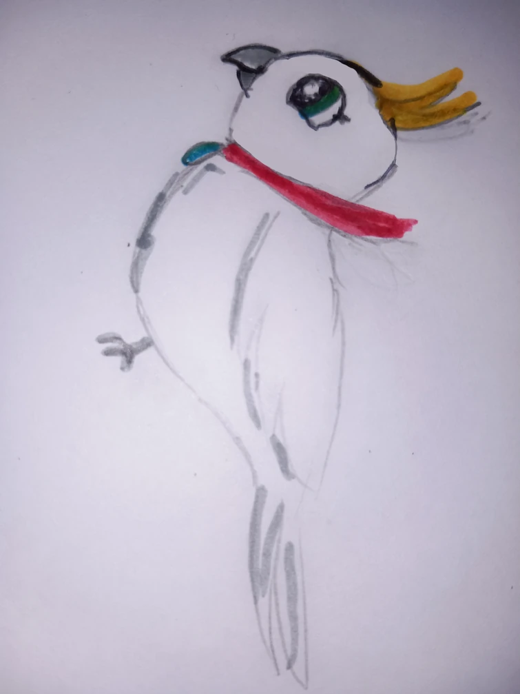 Discuss Everything About SuperKitties Go Wiki | Fandom