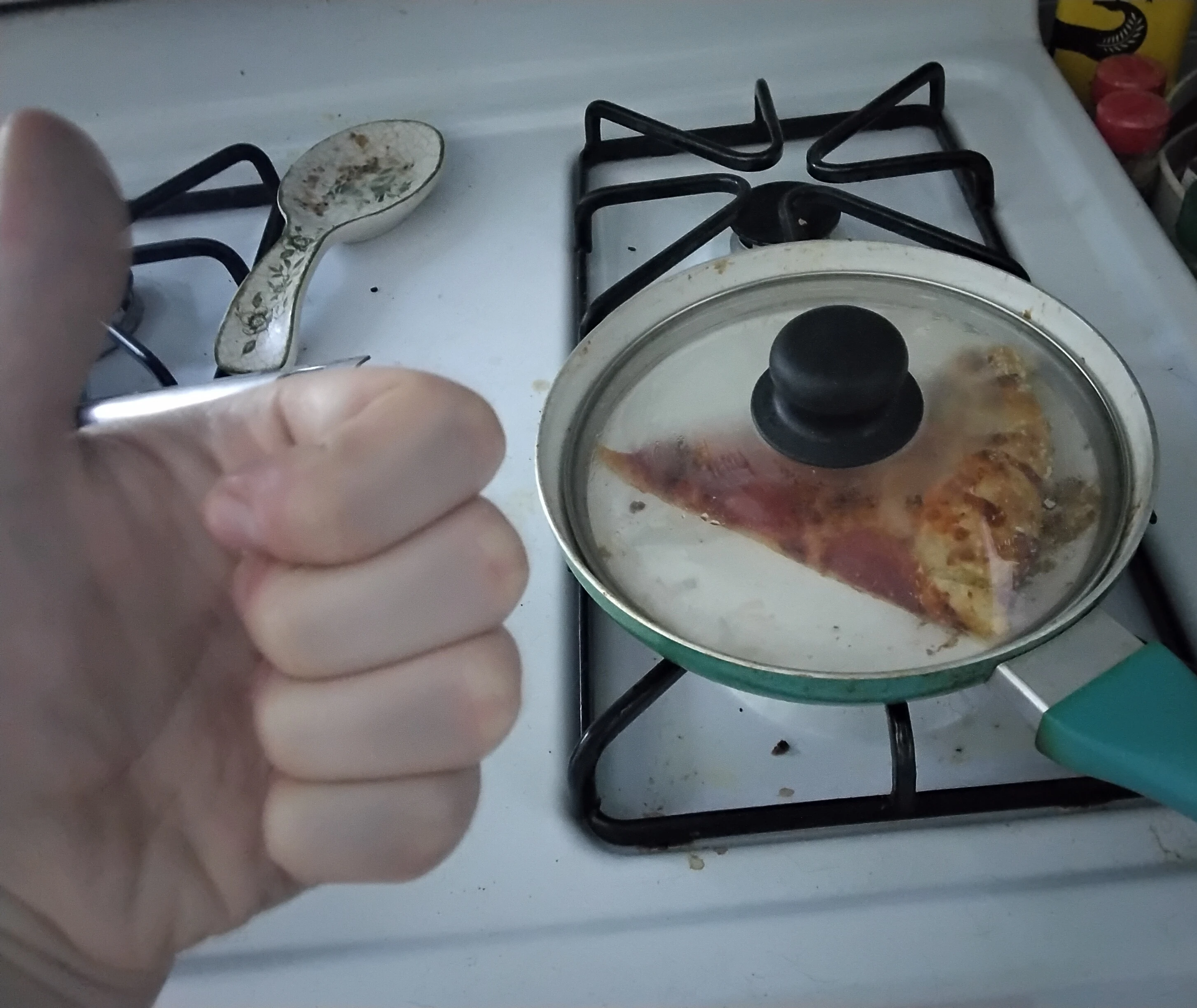 Microwave was busted so I had to use a pan to reheat my pizza | Fandom