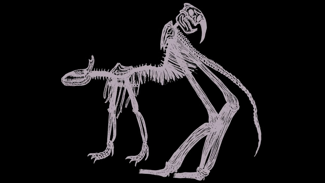 WHAT THE PILGRIMS BURIED | Fandom