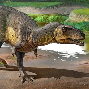 Discuss Everything About Dinopedia | Fandom