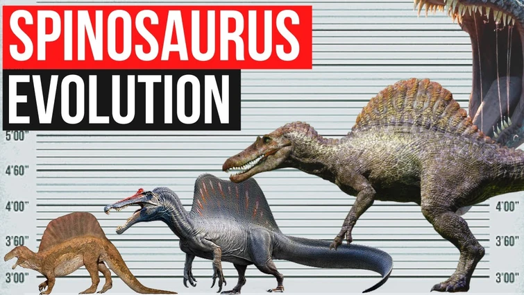 Spinosaurus evolution | Fandom