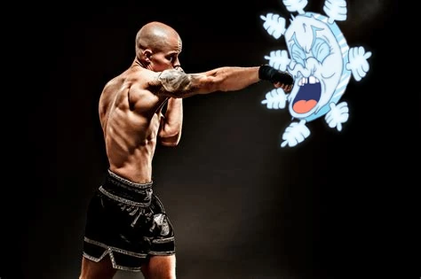 Falcon PUNCH | Fandom