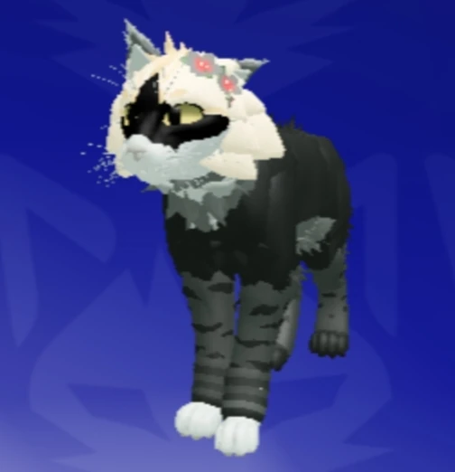 cyn in warrior cats reel? | Fandom