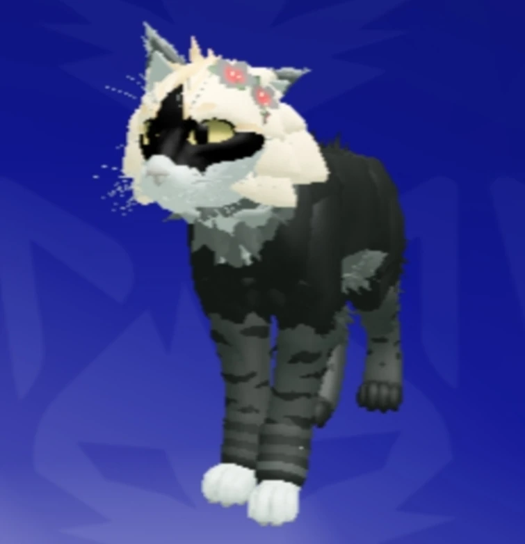 cyn in warrior cats reel? | Fandom