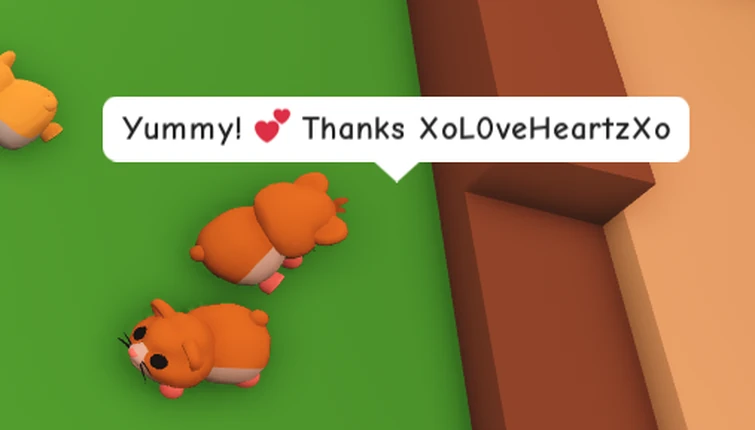 I kinda want a hamster | Fandom