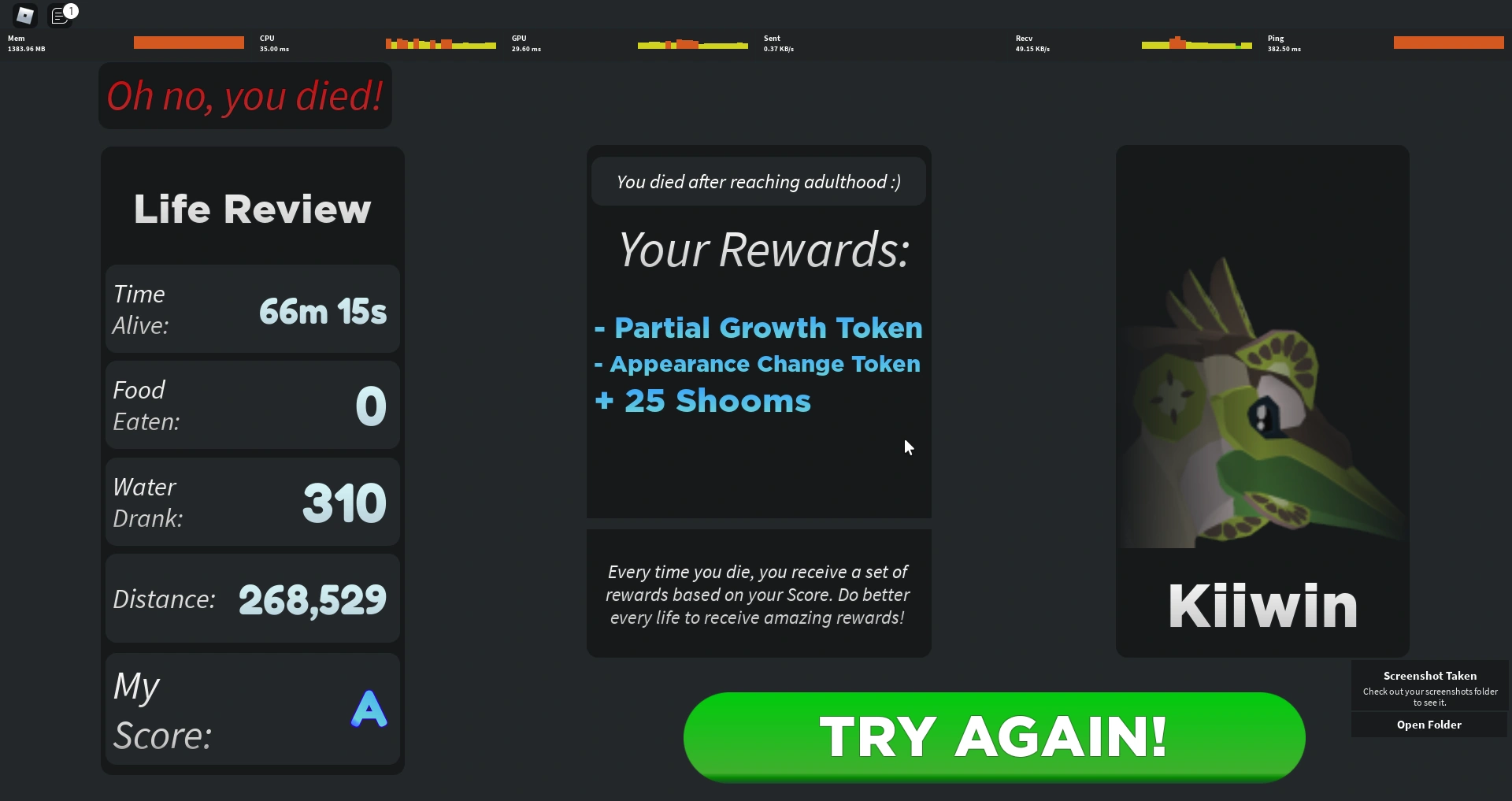 this kiiwin | Fandom