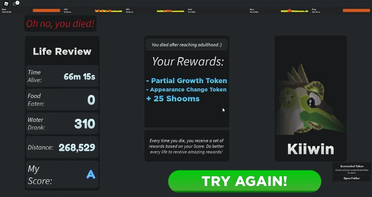 this kiiwin | Fandom