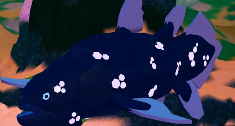 WAIT WHAT, new lore about this fish. | Fandom