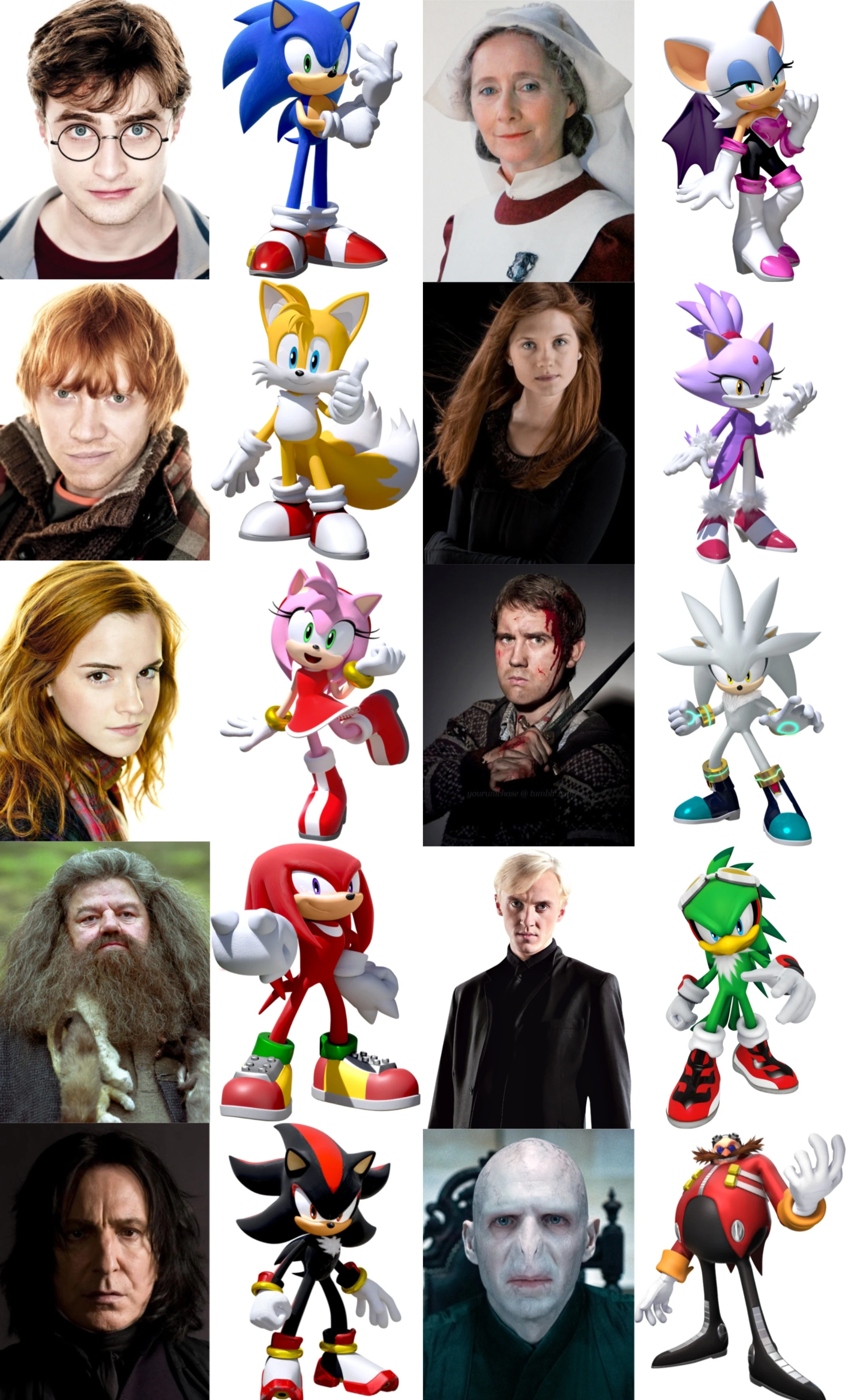 Sonic Potter | Fandom