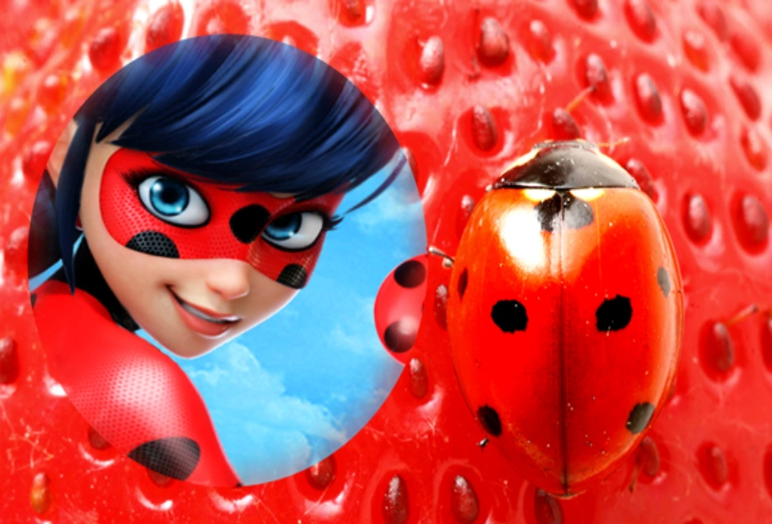 Ladybug | Fandom