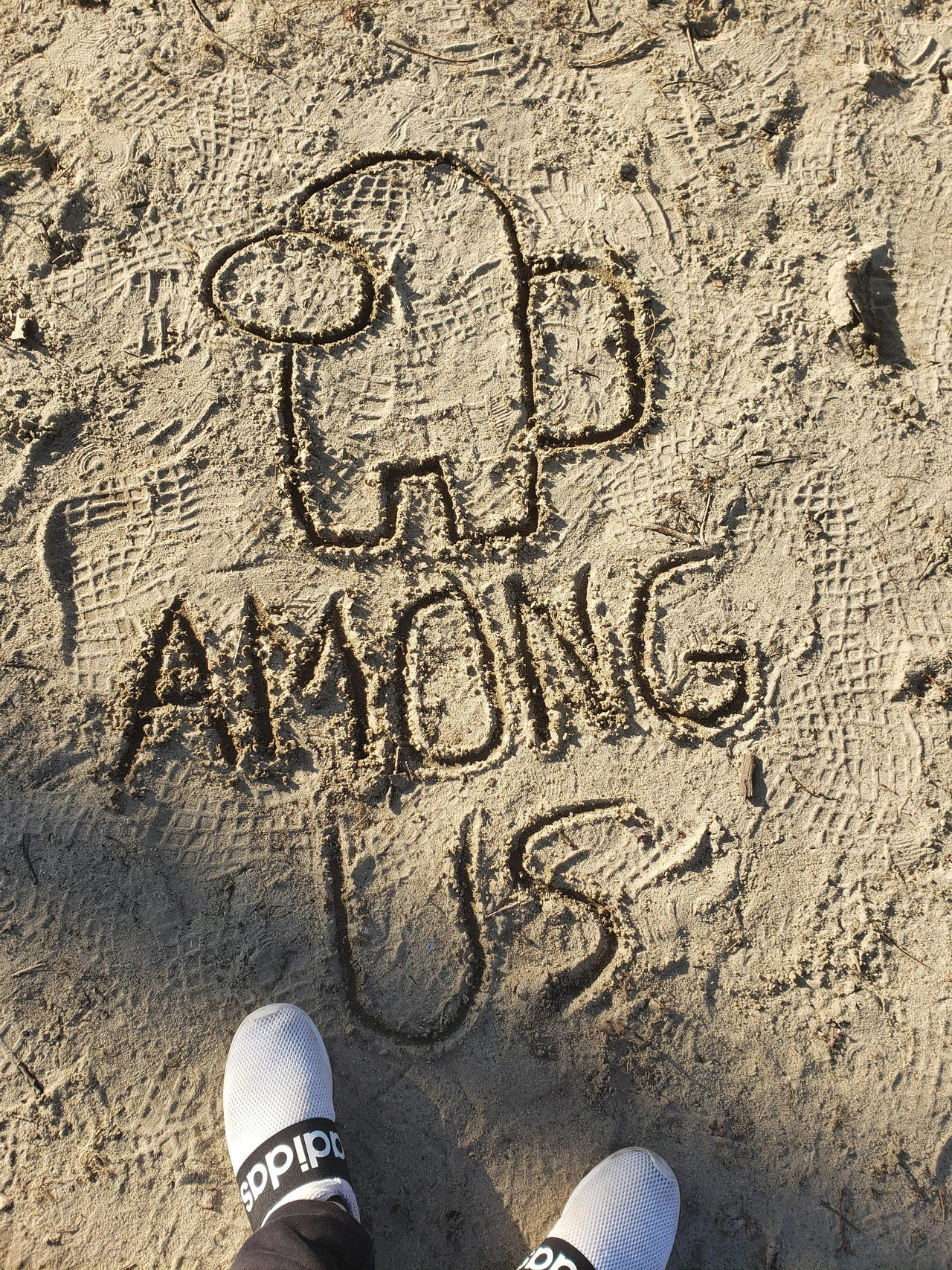 This looks sus | Fandom