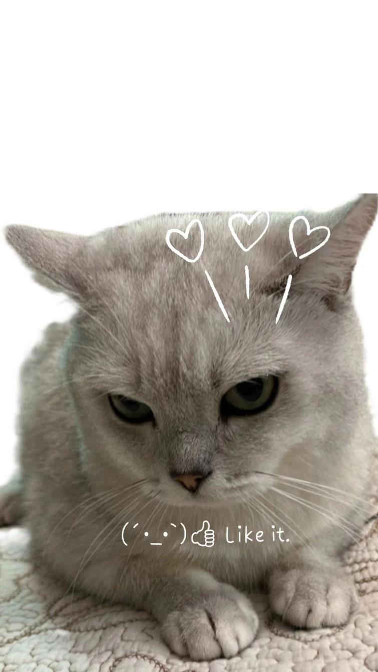 Discuss Everything About Prodigy Game Wiki | Fandom