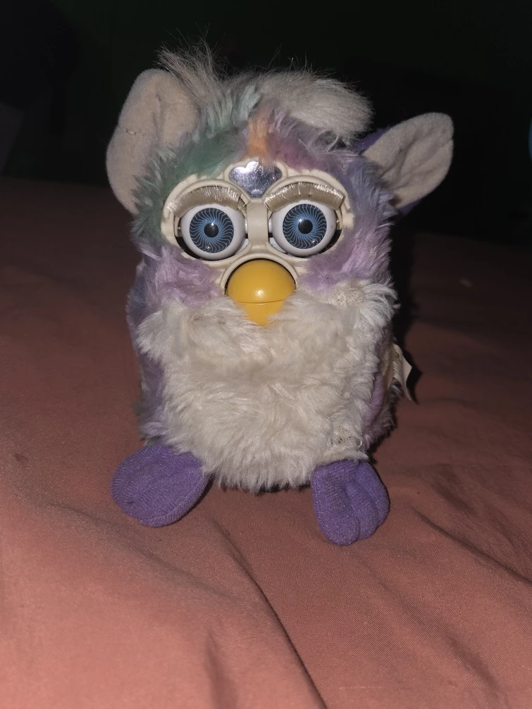 A bit of a Furby 1998 identifying issue | Fandom