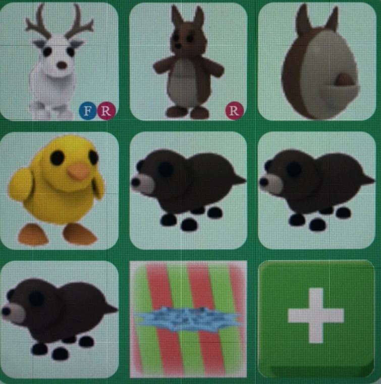 Offer for fr parrot | Fandom