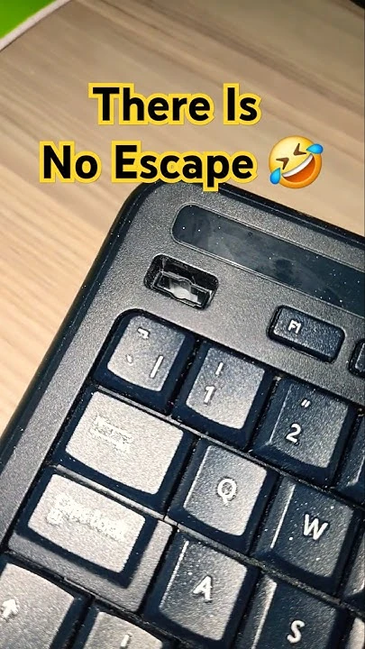 Literally Addi’s humor: | Fandom