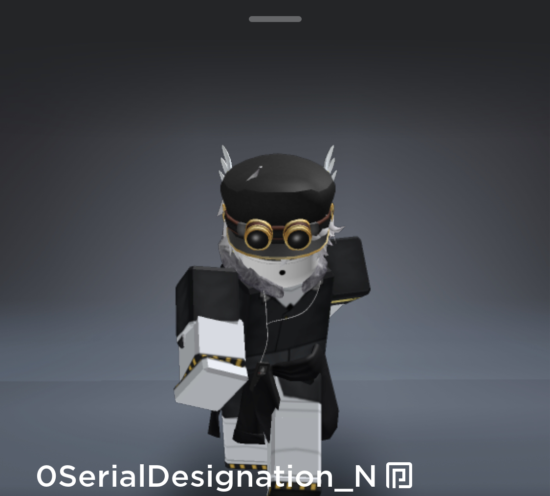 N avatar I made in roblox | Fandom