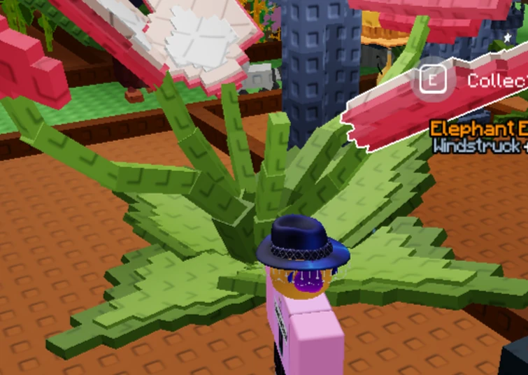 somehow got rosy delight on my second summer seed pack | Fandom